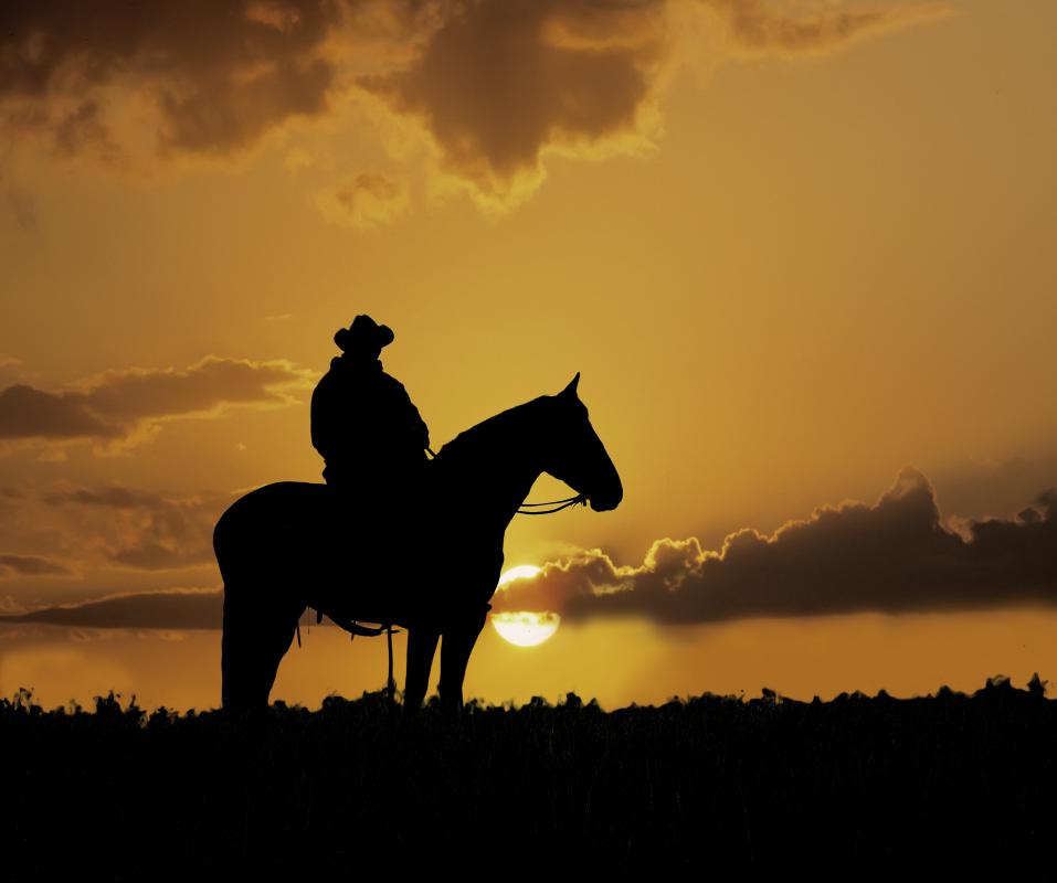 What Are the Characteristics of the Western Genre?