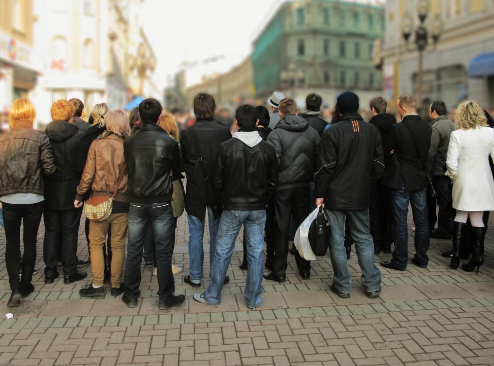 What is Herd Behavior? (with pictures)