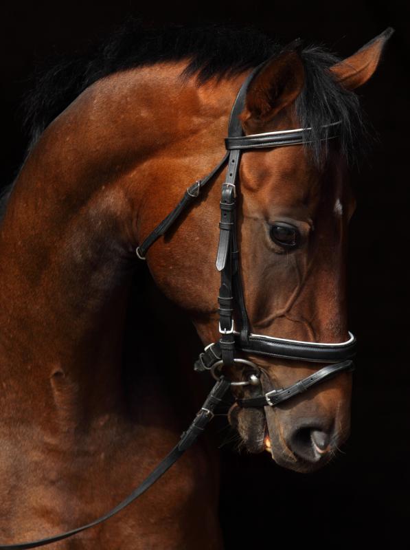 What Is Archaic Diction? (with pictures)