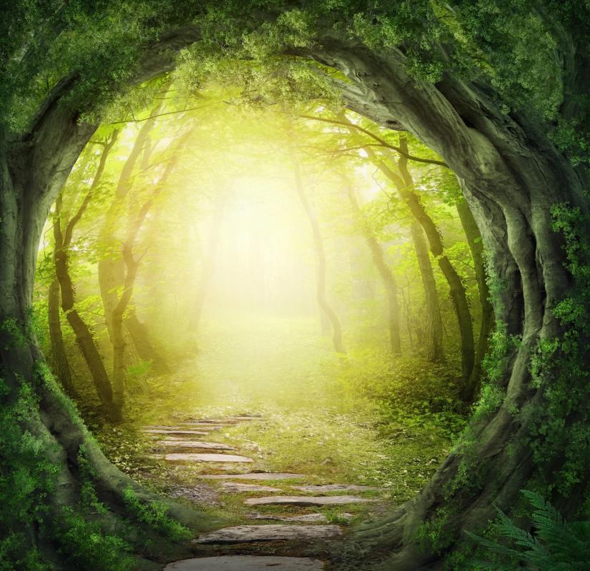 What Is a Fable? (with pictures)