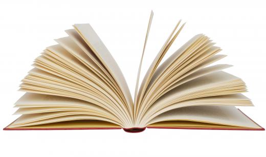 What Is A Novel with Pictures 