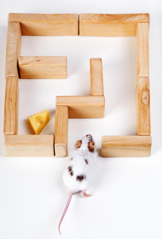 What Is Latent Learning with Pictures 