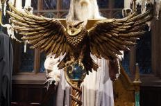 Is Dumbledore Really Dead? (with pictures)