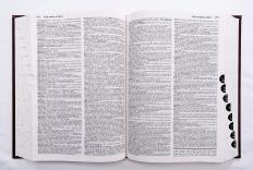 What is a Lexophile? (with picture)