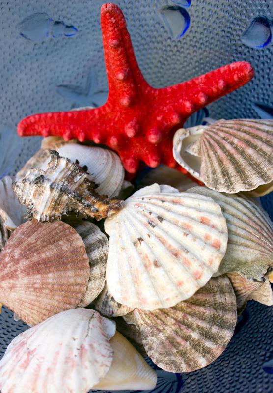 What is a Tongue Twister? (with pictures)