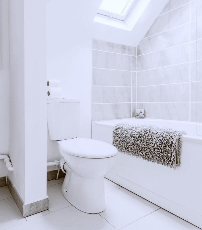 What are Bathroom Books? (with pictures)